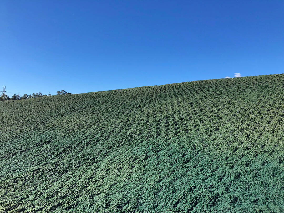 VE Gro-Matt (BFM) | Vital Chemical