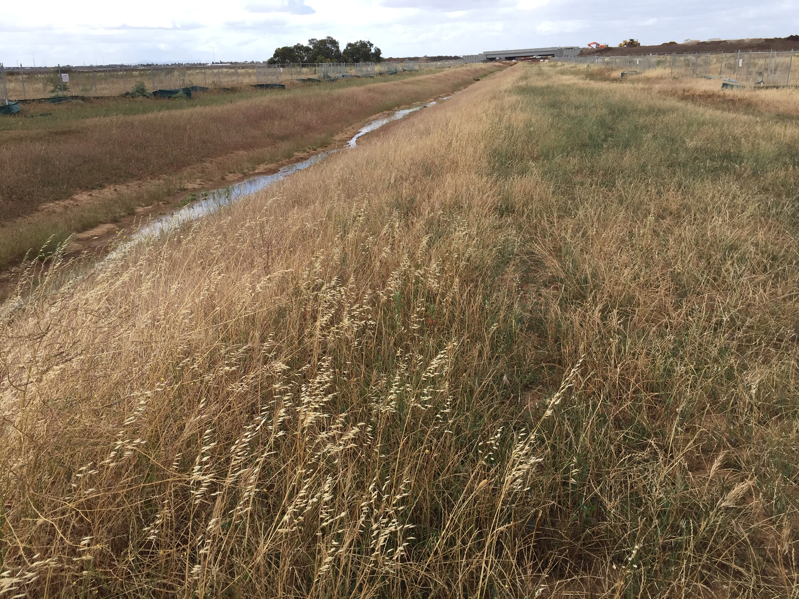Stream Diversion Stabilisation - Vital Chemical