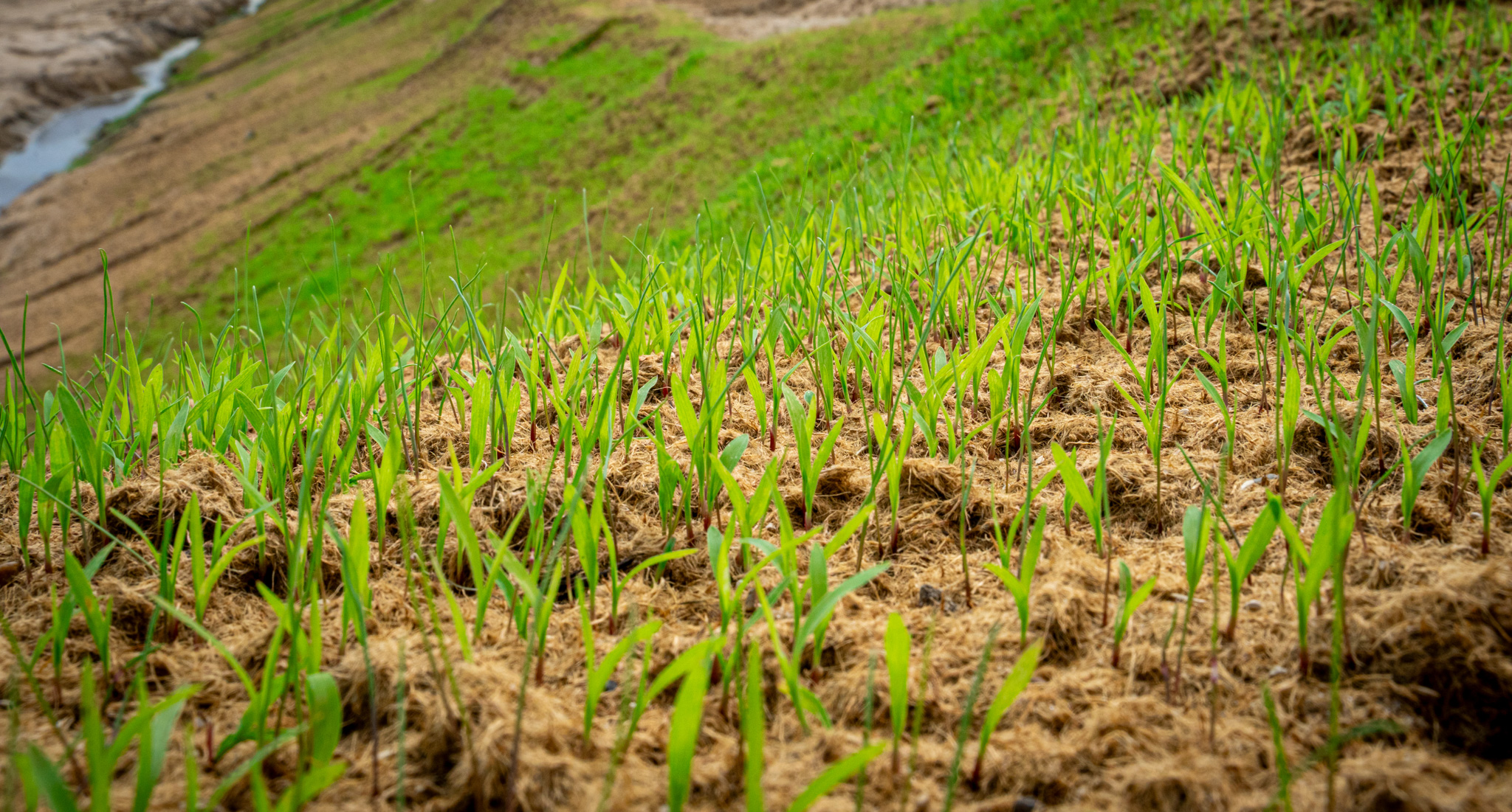 Delivering Environmentally Sound Project Outcomes Backed By Six Years Delivering Environmentally Sound Project Outcomes Backed By Six Years