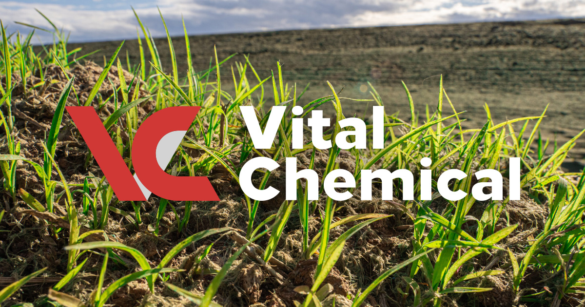 Our Team - Vital Chemical